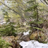 Mildred Lakes Trail, Washington - 200 Reviews, Map | AllTrails