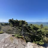 Devil's Path to the Jimmy Dolan Notch Overlook and Twin Mountain Summit ...