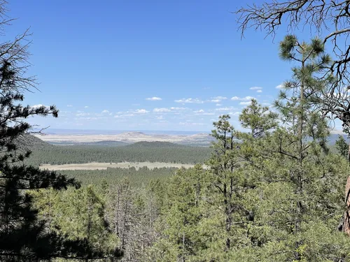 Best Lake Trails in Springerville | AllTrails