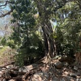 Cascada Palo Maria, Jalisco, Mexico - 322 Reviews, Map | AllTrails