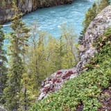 Kenai River Trail, Alaska - 172 Reviews, Map | AllTrails
