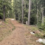 Leech Lake Loop, Washington - 168 Reviews, Map | AllTrails