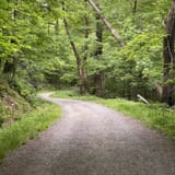 Cone Manor, Bass Lake, and The Maze Loop, North Carolina - 1,146 ...