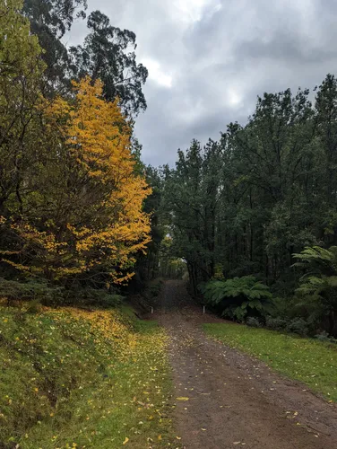 10 Best Trails and Hikes in Silvan | AllTrails