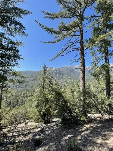 10 Best Views Trails in Idyllwild-Pine Cove | AllTrails