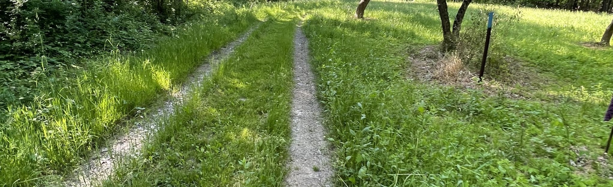 Libby Loop, Pennsylvania - 3 Reviews, Map | AllTrails
