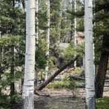 Goose Creek Trail, Colorado - 435 Reviews, Map | AllTrails