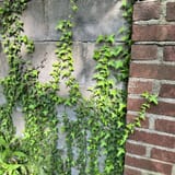 Timber Point, Maine - 358 Reviews, Map | AllTrails