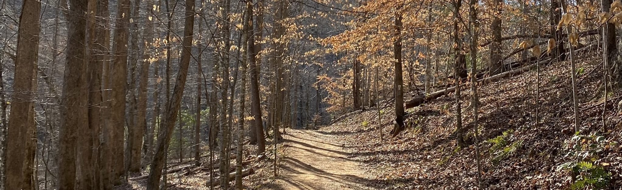 Oconee Station to Hidden Falls: 88 Reviews, Map - South Carolina ...