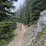 Silver Lake Way Trail, Washington - 398 Reviews, Map | AllTrails