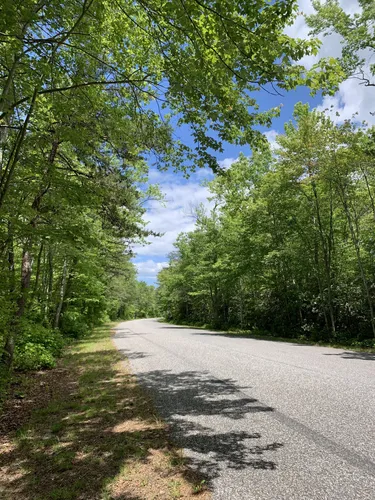 Best Hikes and Trails in Belleplain State Forest | AllTrails