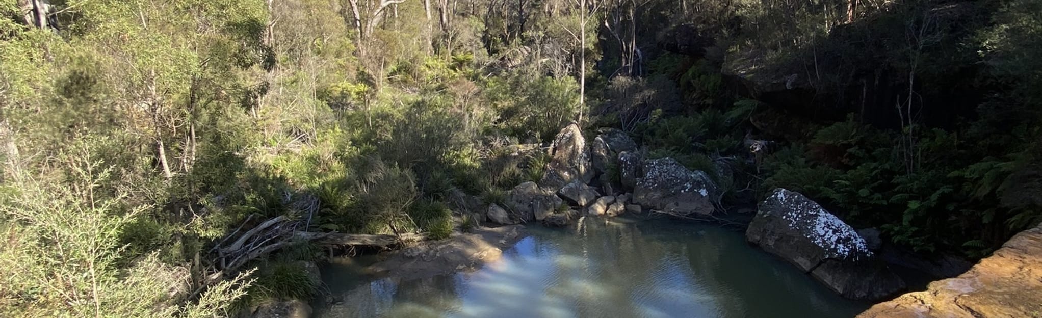 Weeping Falls Loop, New South Wales, Australia - 31 Reviews, Map ...