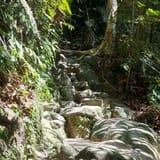 Bukit Saga Waterfall via Trek C, Selangor, Malaysia - 326 Reviews, Map ...