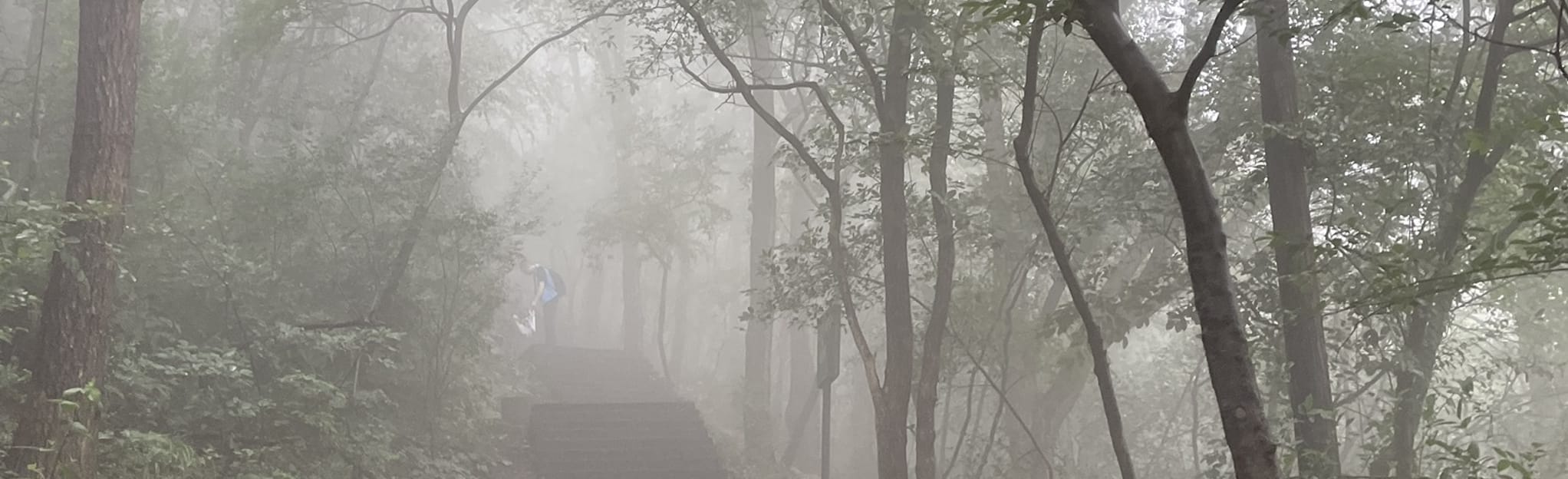 Purple Mountain: 9 Reviews, Map - Jiangsu, China | AllTrails