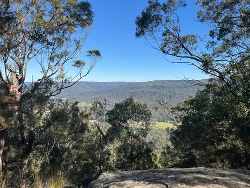 10 Best Hikes and Trails in Watagans National Park | AllTrails