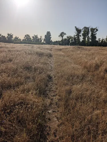 Best Hikes and Trails in Mather Regional Park | AllTrails