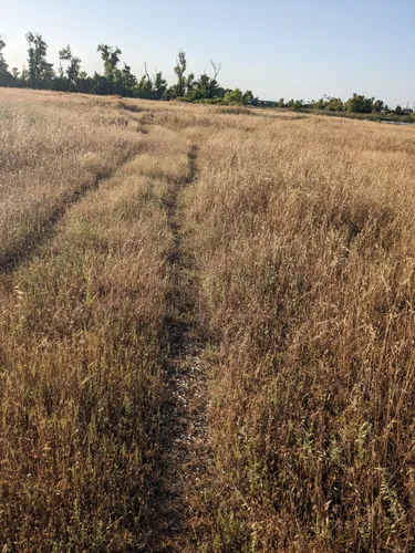 Best Hikes and Trails in Mather Regional Park | AllTrails