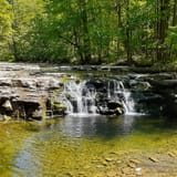 Great Gully Falls Trail, New York - 269 Reviews, Map | AllTrails