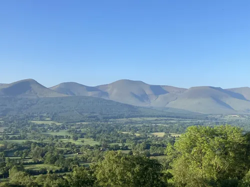 Best Kid Friendly Trails in Bansha Forest | AllTrails