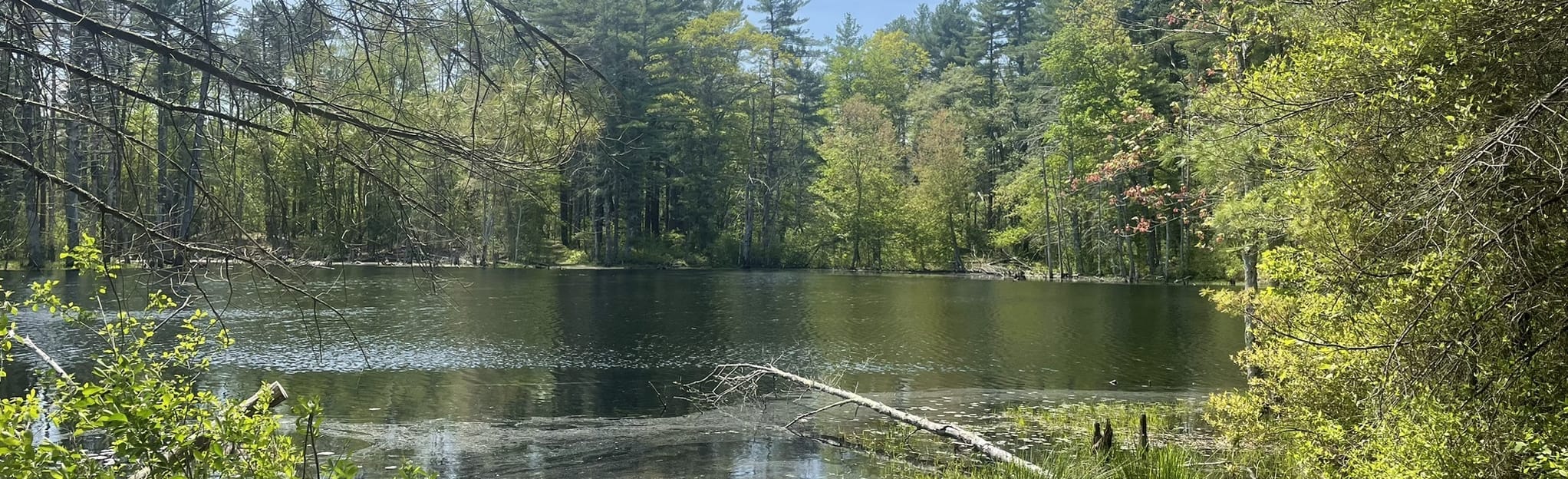 White Hall Road and Park Road Loop: 363 Reviews, Map - Massachusetts ...