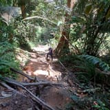 Bukit Saga Waterfall via Trek C, Selangor, Malaysia - 266 Reviews, Map ...