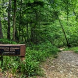 Bull Run Trail, Virginia - 180 Reviews, Map | AllTrails