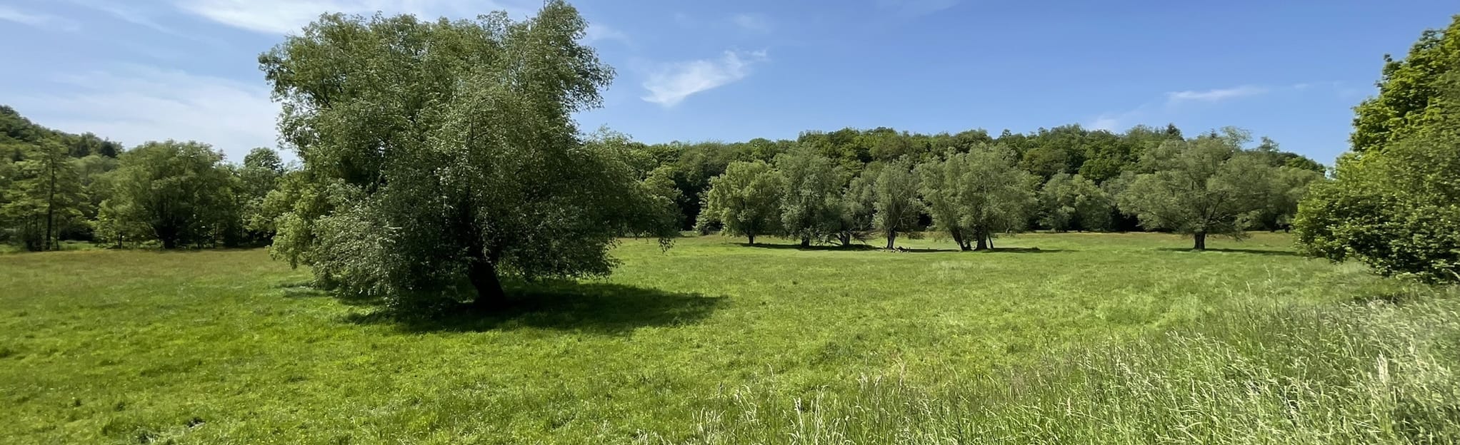 GrenzRouten: Route 2 - Neutral-Moresnet: 1 Reviews, Map - Liège ...