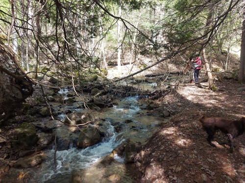 Best Hikes and Trails in Nottawasaga Lookout Provincial Nature Preserve ...