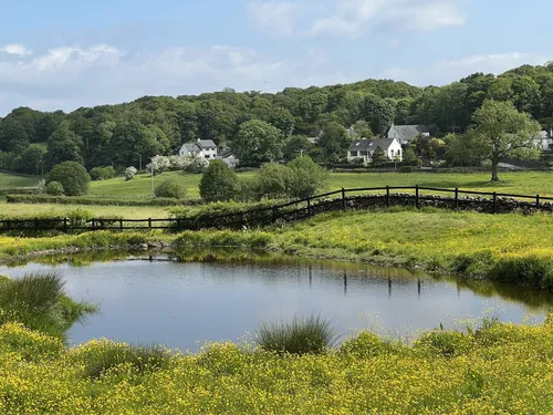 10 Best Walking Trails in Ulverston | AllTrails