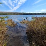 Knight's Pond Preserve , Maine - 227 Reviews, Map | AllTrails