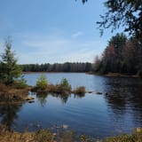 Knight's Pond Preserve , Maine - 227 Reviews, Map | AllTrails
