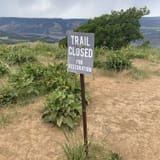 Tom McCall Point Trail [CLOSED], Oregon - 1,474 Reviews, Map | AllTrails
