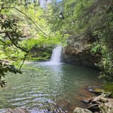 Savage Falls, Tennessee - 660 Reviews, Map | AllTrails