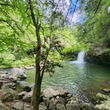 Savage Falls, Tennessee - 660 Reviews, Map | AllTrails
