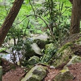 Savage Falls, Tennessee - 660 Reviews, Map | AllTrails
