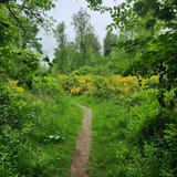 Turtle Trail, Oregon - 105 Reviews, Map | AllTrails