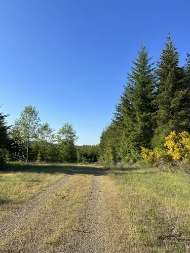 Best Hikes and Trails in Port Ludlow | AllTrails