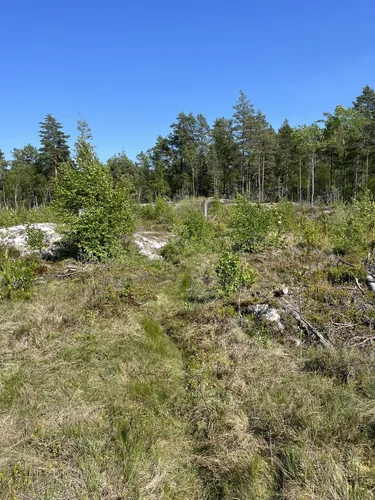 Best Trails near Tornberget | AllTrails