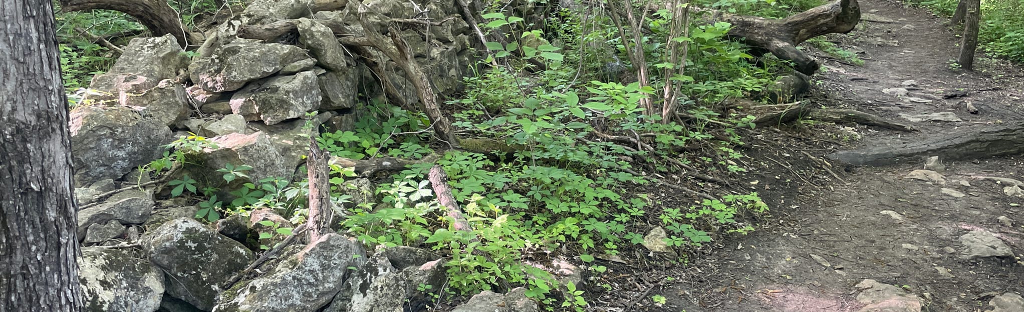 Clinton Lake Visitor Center Nature Trails, Kansas - 22 Reviews, Map ...