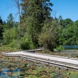 Lake Fenwick, Washington - 666 Reviews, Map | AllTrails