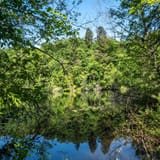 Lake Fenwick, Washington - 666 Reviews, Map | AllTrails