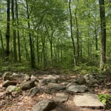 Goodwin Trail, Connecticut - 281 Reviews, Map | AllTrails
