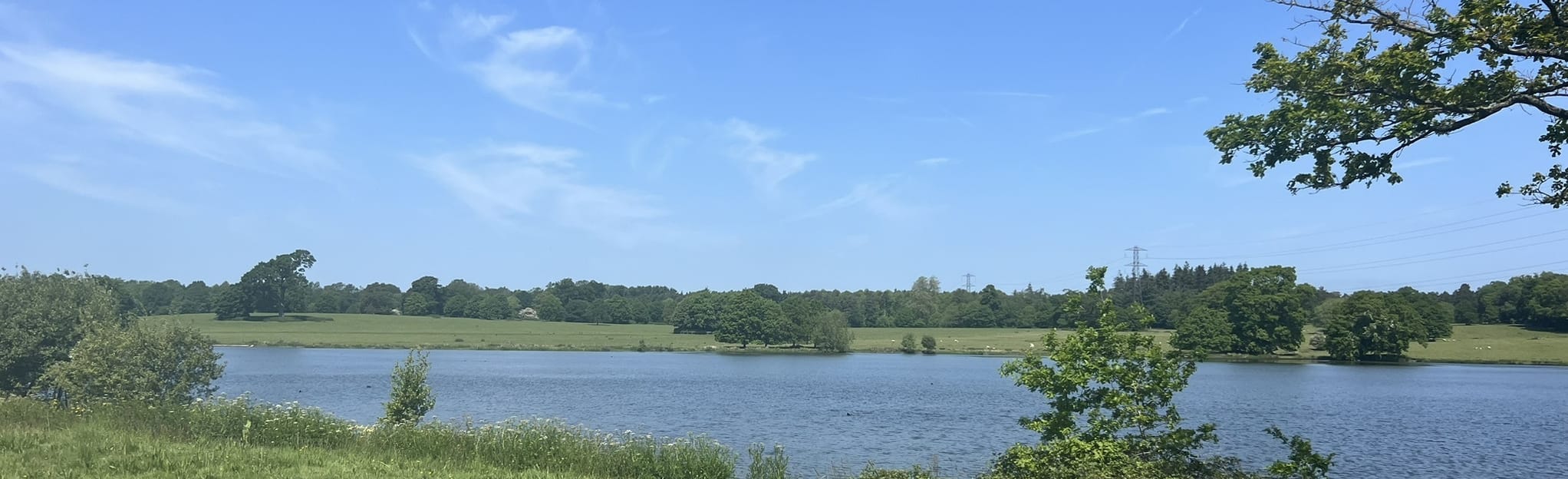 Dogmersfield and the Basingstoke Canal: 319 Reviews, Map - Hampshire ...