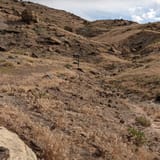 Trail Through Time, Colorado - 316 Reviews, Map | AllTrails