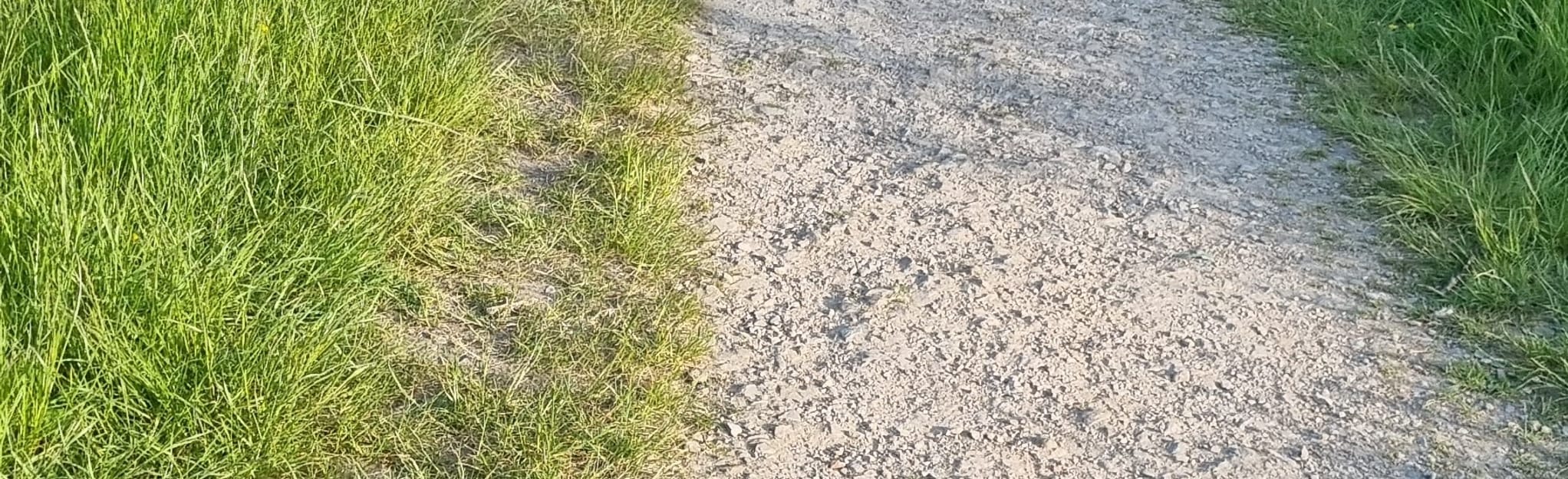 Beacon Park Circular, Lancashire, England - 54 Reviews, Map | AllTrails