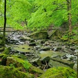 Bruce Trail: Niagara Section, Ontario, Canada - 492 Reviews, Map ...