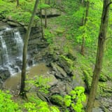 Bruce Trail: Niagara Section, Ontario, Canada - 396 Reviews, Map ...
