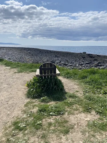 2023 Best Beach Trails in Clarinbridge | AllTrails