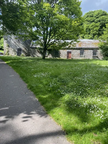 2023 Best Beach Trails in Clarinbridge | AllTrails