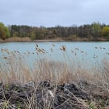 Bruce Trail: Niagara Section, Ontario, Canada - 492 Reviews, Map ...